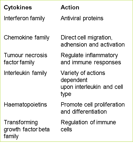 Cytokines: Introduction | British Society for Immunology Cytokines: Introduction | British Society for Immunology